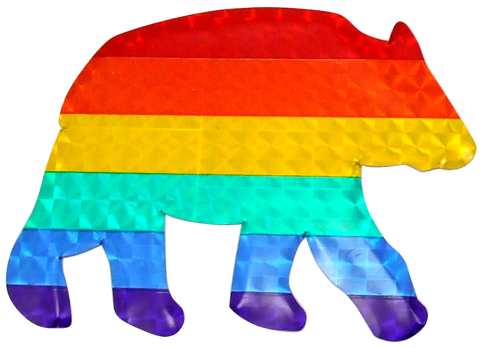 Rainbow bear reflective sticker | MooLuxe