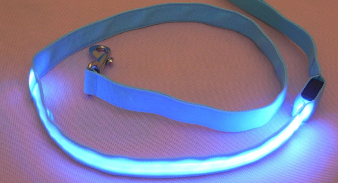 4' Nylon Pet Leash with LED Lights (Medium Wide, Blue) - MooLuxe